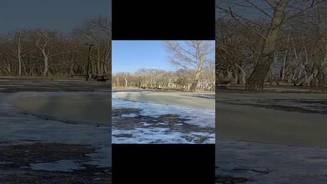Курчатовский Тёплый берег ранней весной
