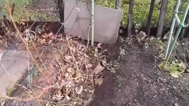 Опять осень