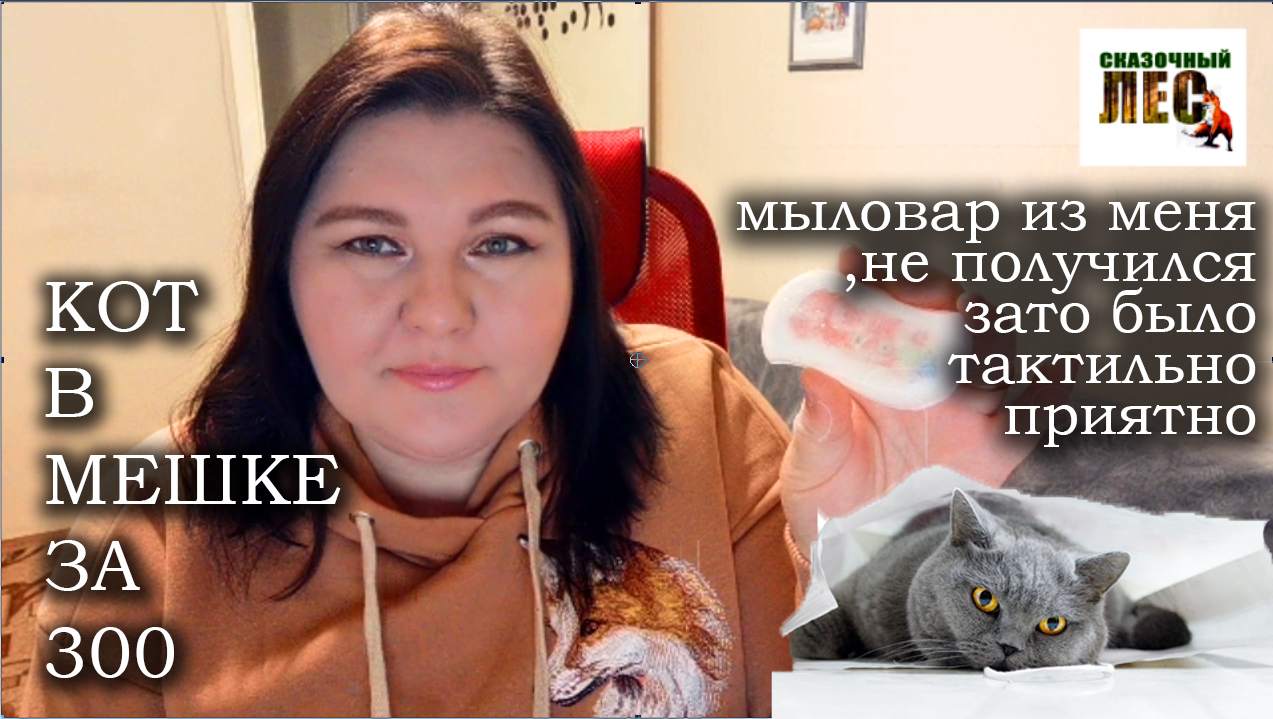 КОТ В МЕШКЕ за 300/мыловар из меня не вышел, ЗАТО было тактильно приятно!/СКАЗОЧНЫЙ ЛЕС