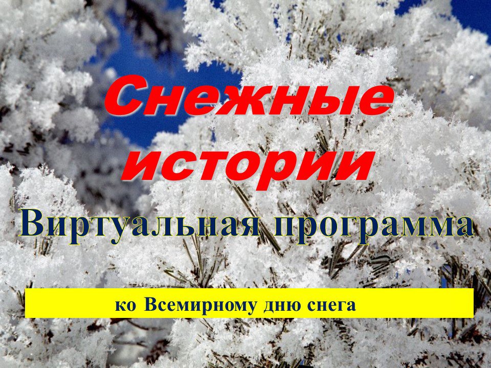 Виртуальная программа «Снежные истории»