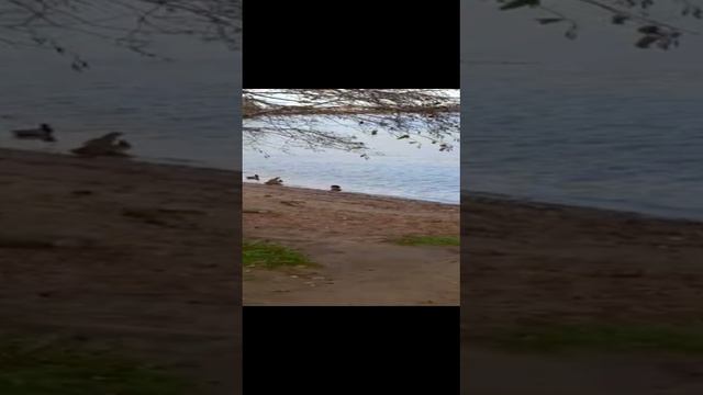 WhatsApp Video 2021-10-21 at 14.44.06 (1).mp4