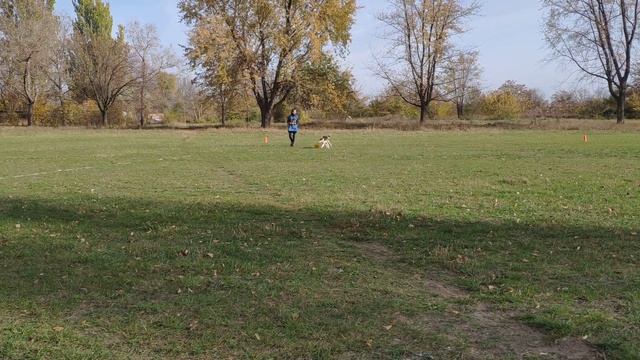 Frisbee-Манія 2018 Ольга и Дозор.mp4