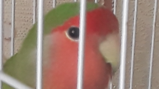 Сегодня я буду проходить сложные уровни