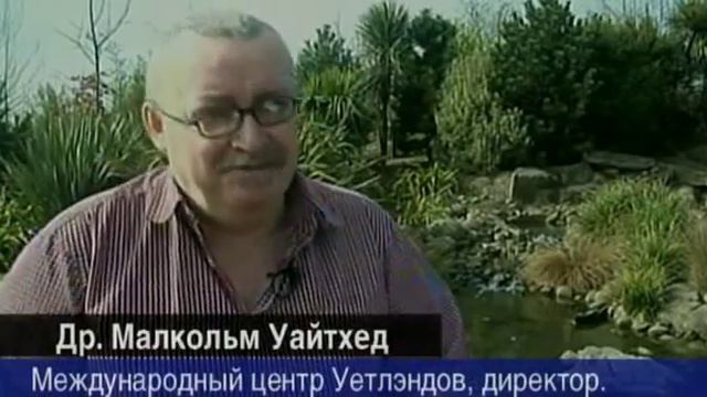 Глубинные тайны Черного моря (2007)