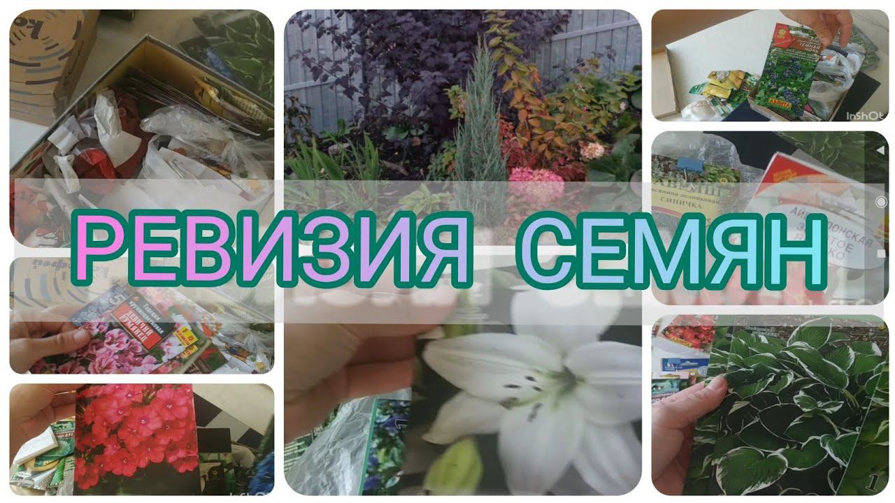 СЕМЕНА, ПОДГОТОВКА К ПОСЕВНОЙ