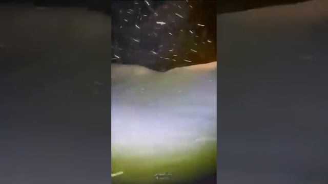 Репортаж из Саудовской Аравии