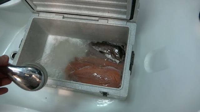 Копчение лосося и ленка_ пошаговый процесс [AD1pHkxrVHE].mp4