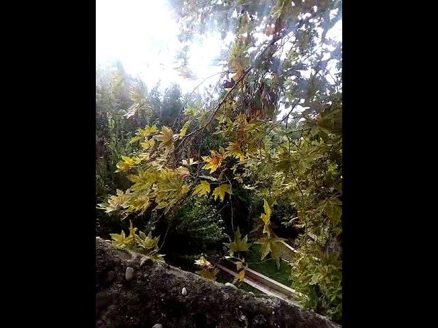 Старый город Анталии.