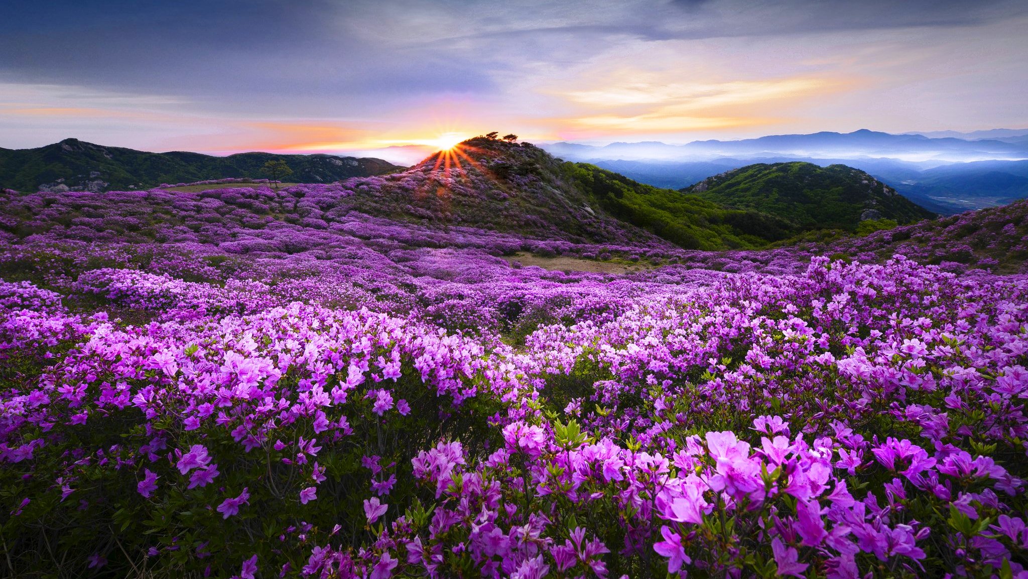 А.Дворжак Романтическая пьеса-3.