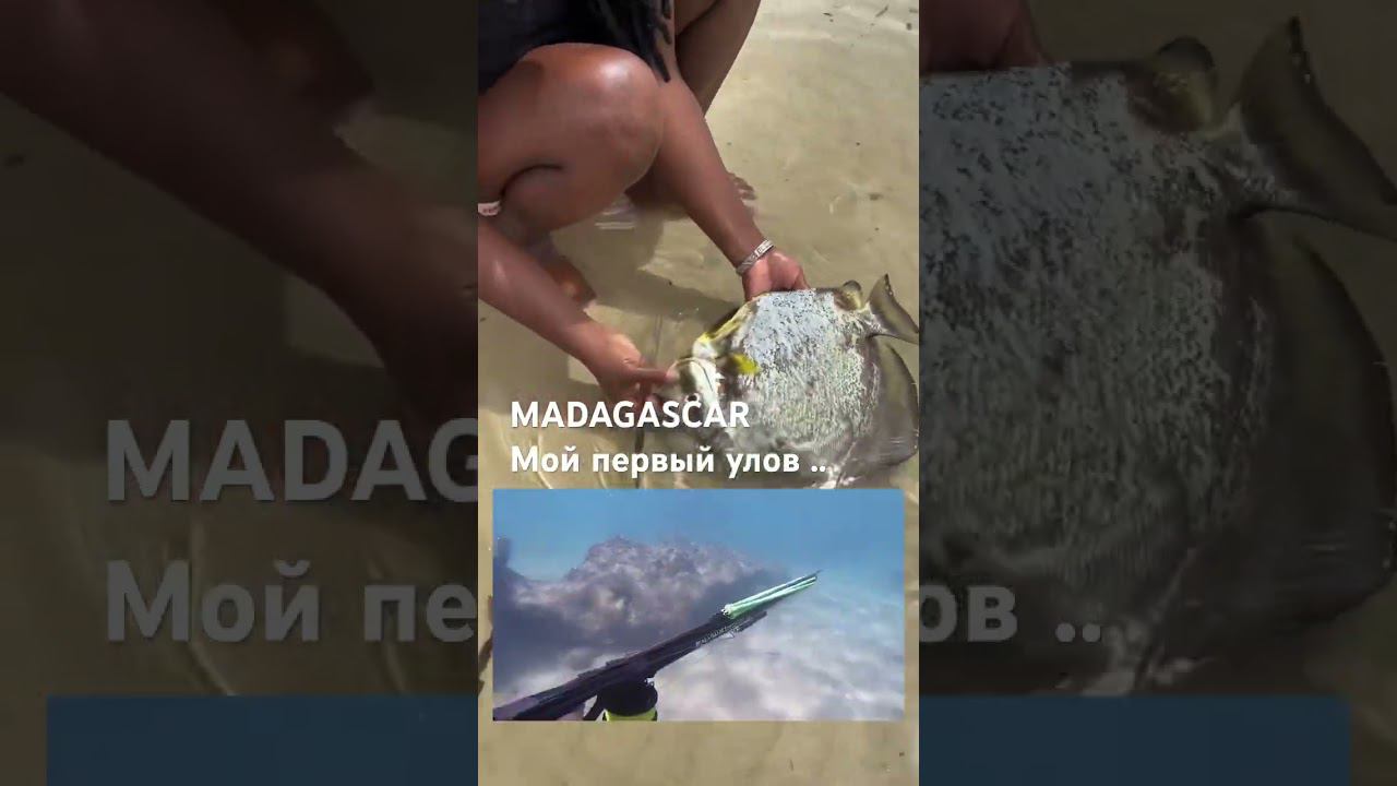 Мадагаскар. Моя первая подводная охота, мой первый улов.