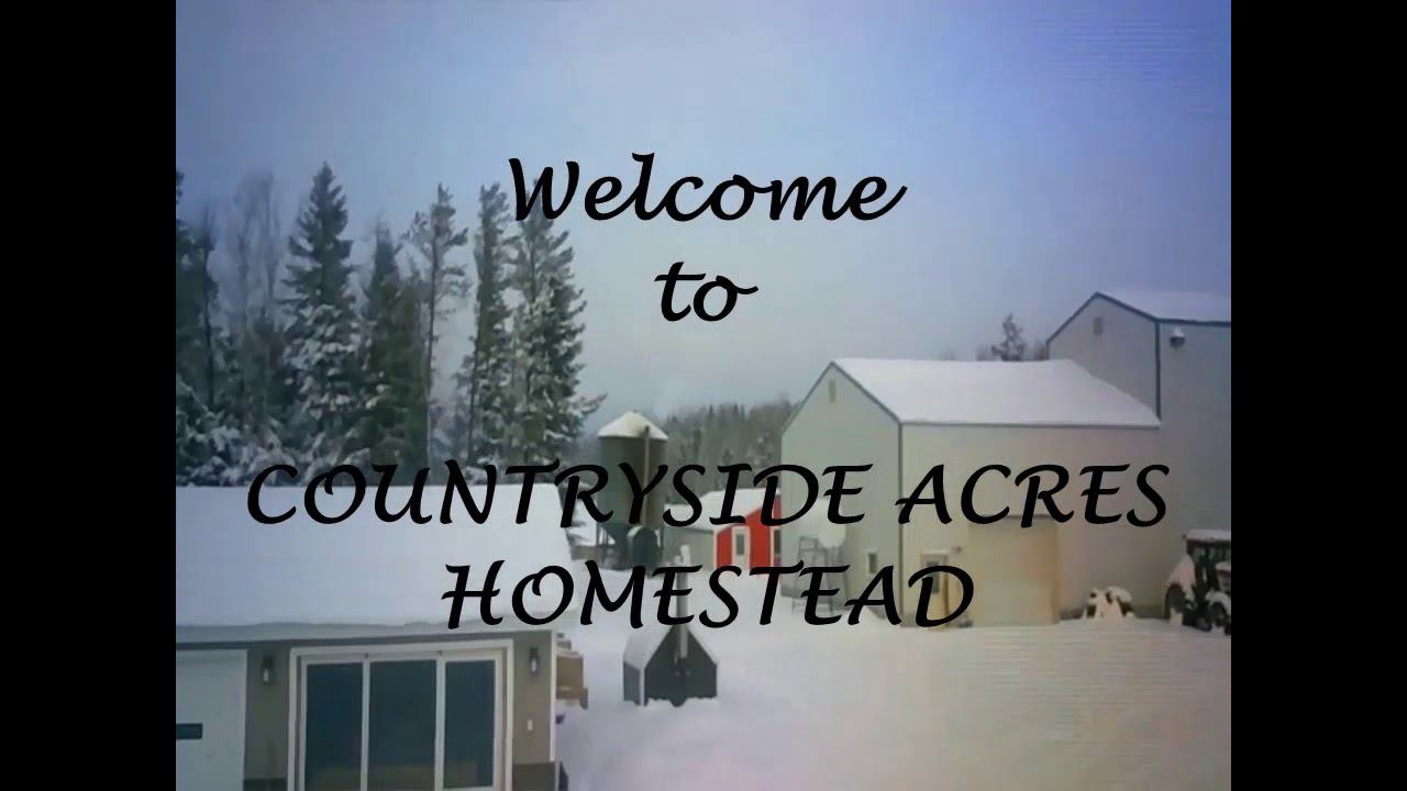 Winner of the 100 Subscriber draw