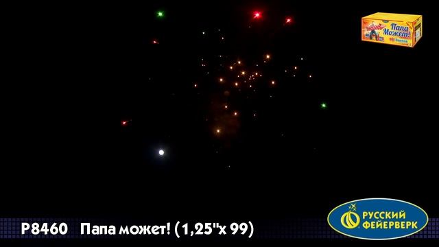 Р8460 "Папа Может".mp4