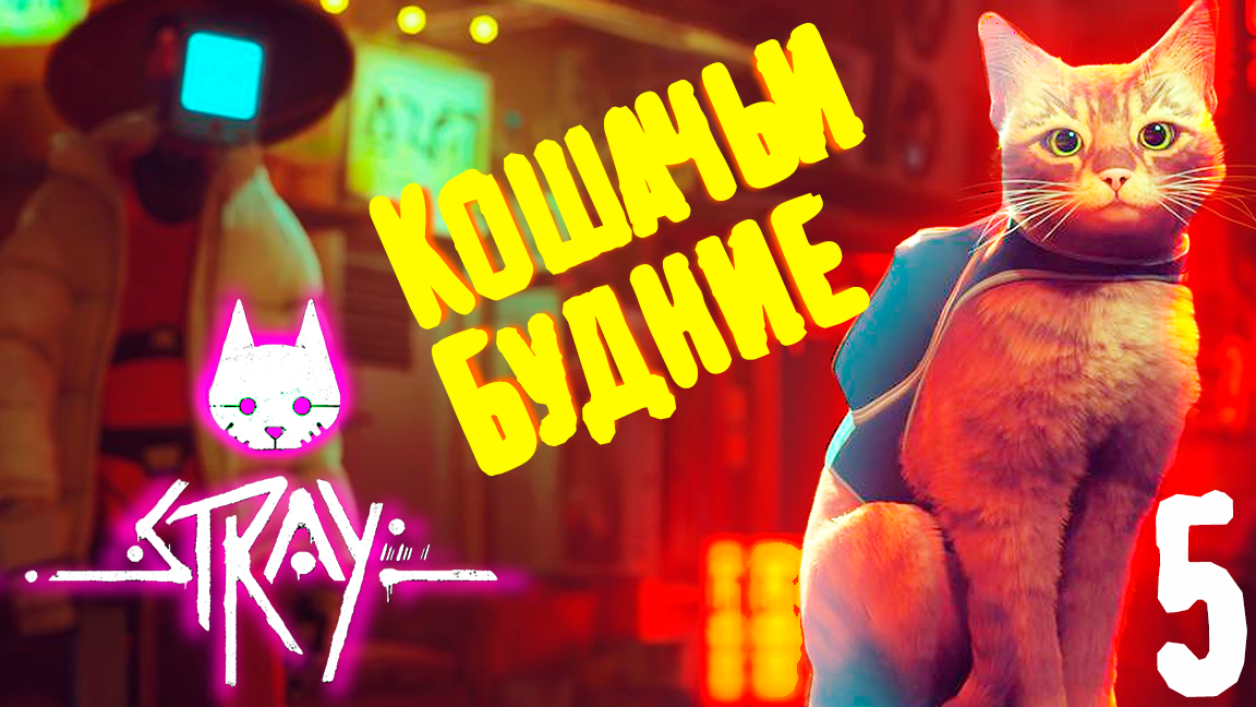 Кошачьи будние - Stray - 5