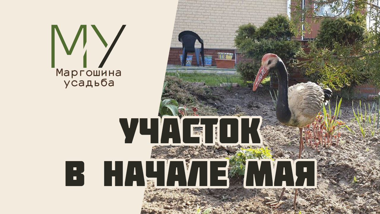 Обзор моего участка в начале мая