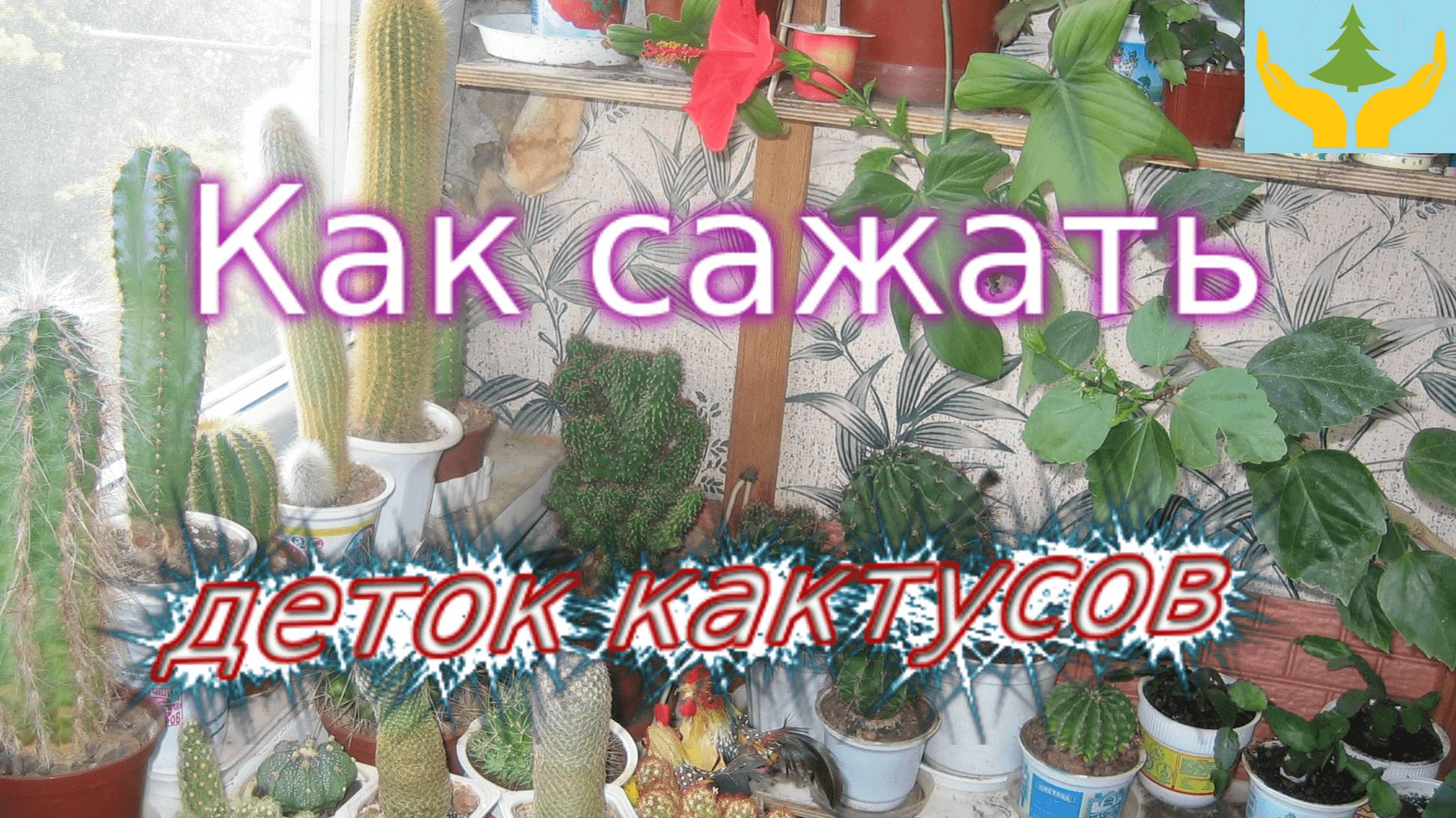 Как_сажать_деток