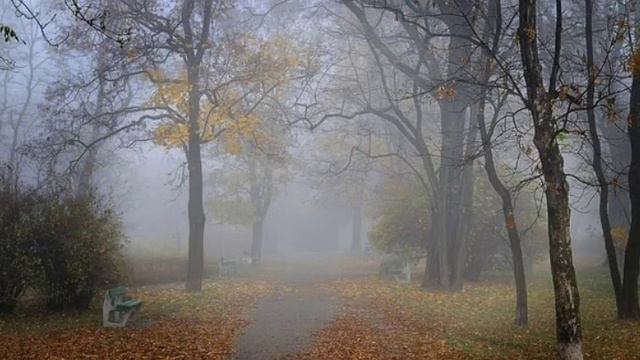 Мои стихи - Затерялся лист осенний