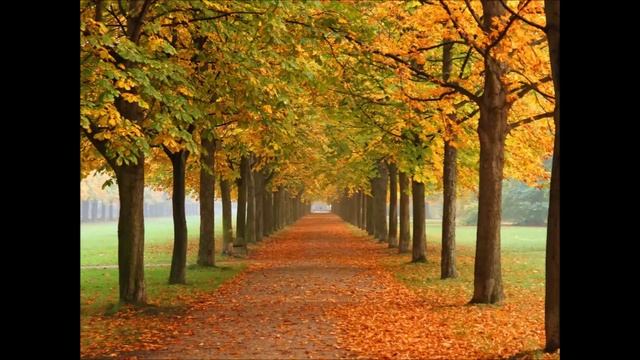 Schiliro  French Blues.mp4