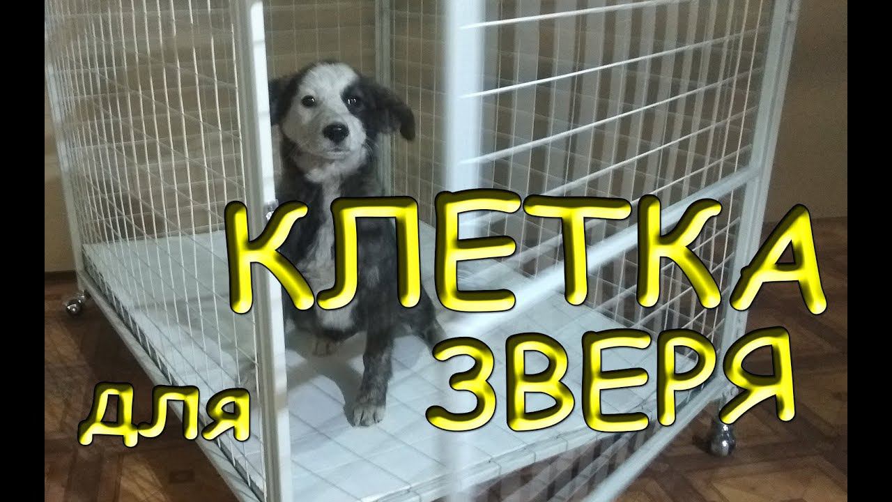 Клетка для зверя (животных, кошек, собак). Производство любых. Cage for animals