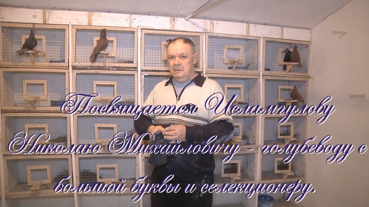 В память о голубеводе и селекционере - Н.М. Исламгулов.
