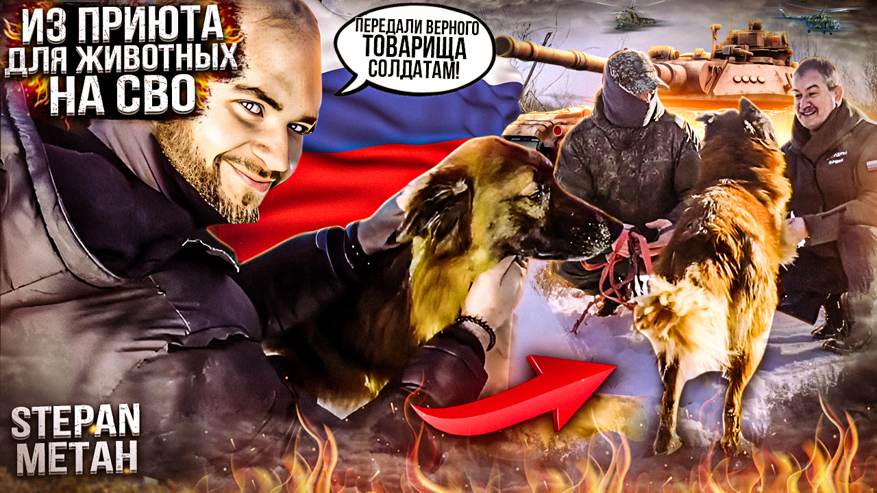 Передали собаку из приюта нашим военным