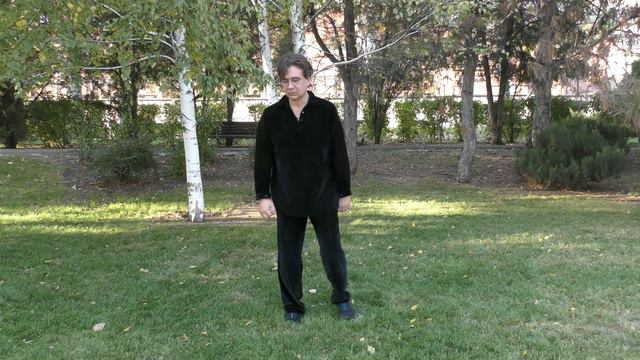 18 Таолу стиля Орлан и барс боевые удары средней дистанции в полном объеме