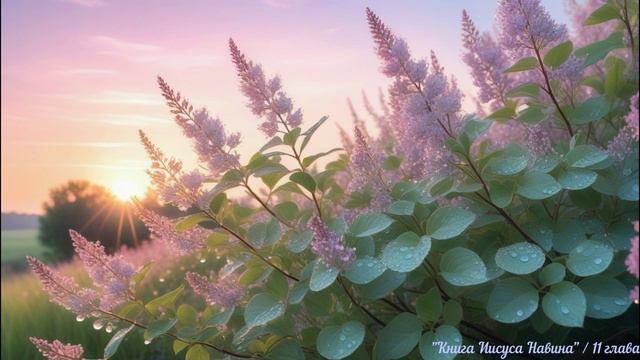 "Книга Иисуса Навина" / 11 ГЛАВА