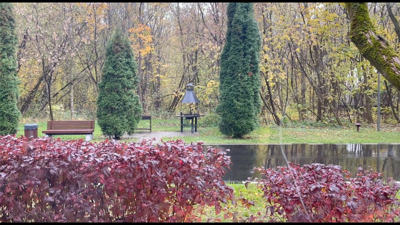 Осенний кемпинг под дождем в Москве
