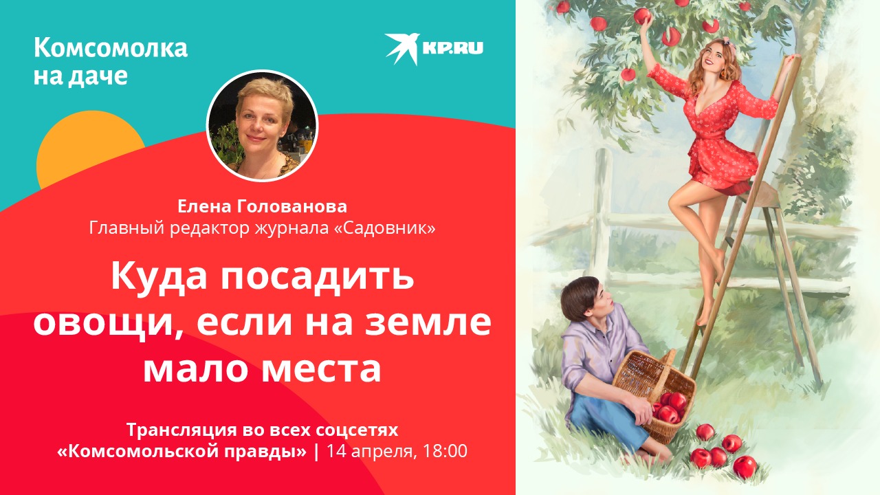 Куда посадить овощи, если на земле мало места