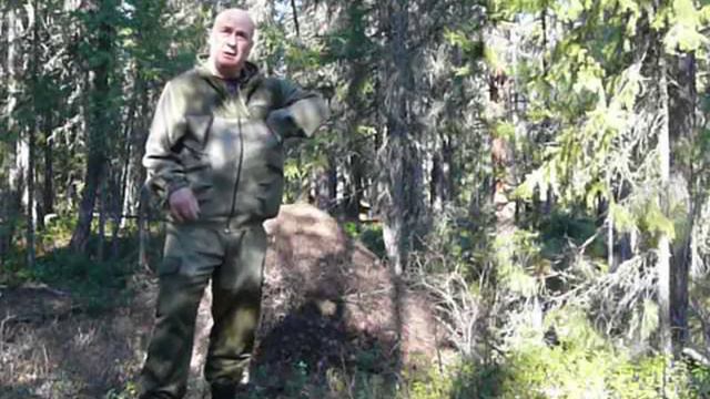 Ориентирование по муравейнику (продолжение) 26