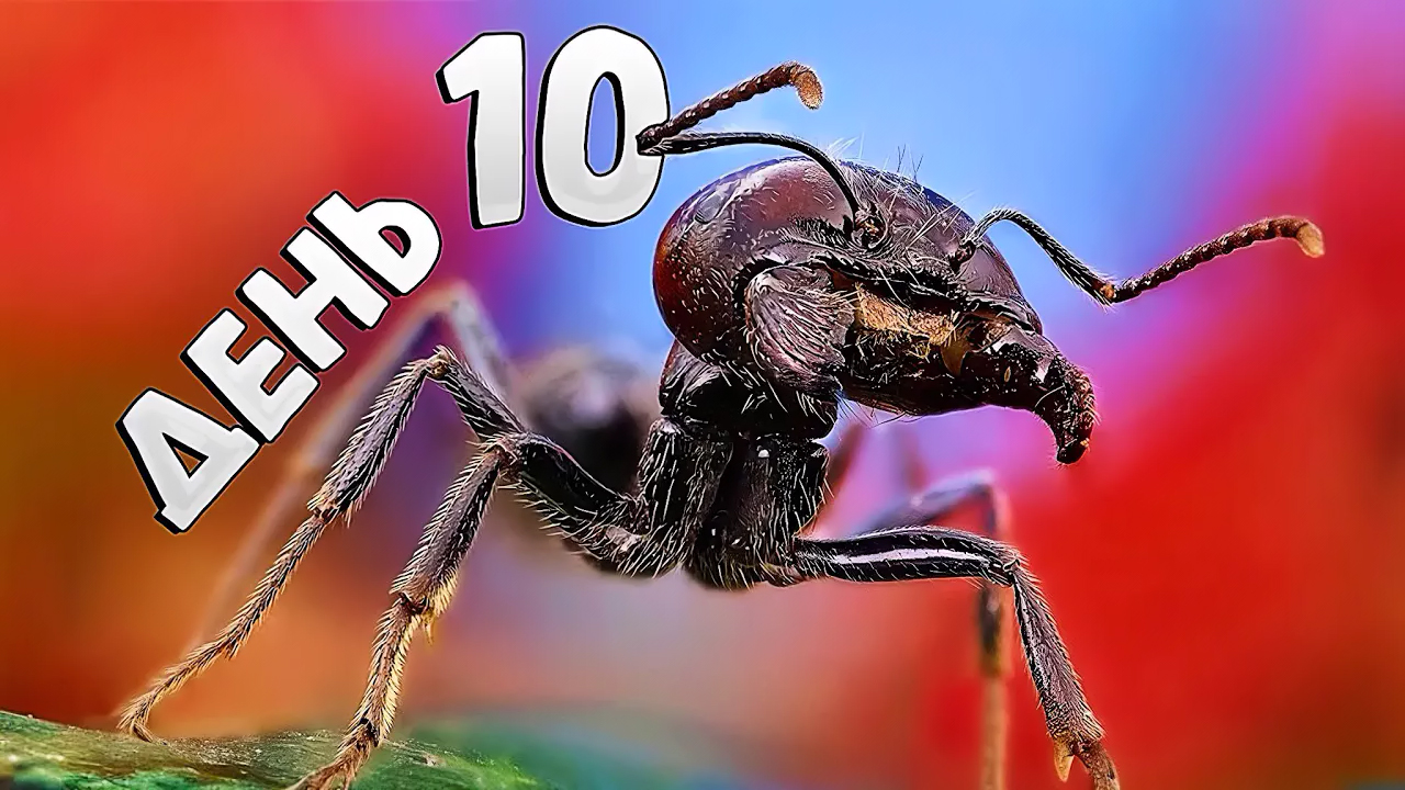 #AnToxiс ? День 1️⃣0️⃣ Маток много не бывает ??? #ants #colony  #antlife   @ParaToxic