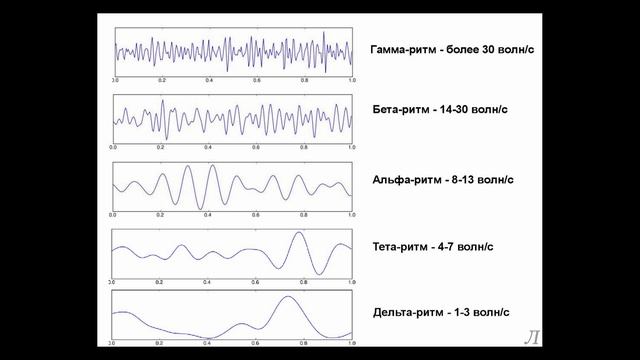3.15 Параметры нервной системы. Ритмы ЭЭГ