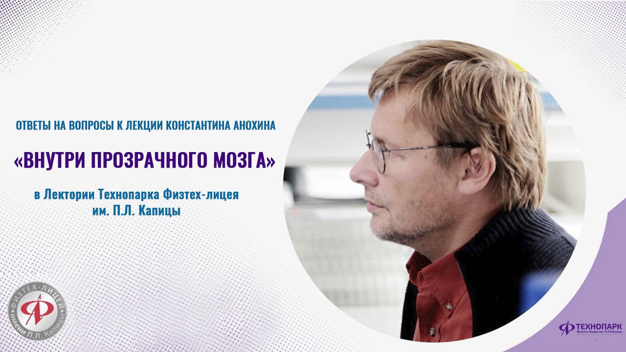 Ответы на вопросы к лекции Константина Анохина Внутри прозрачного мозга
