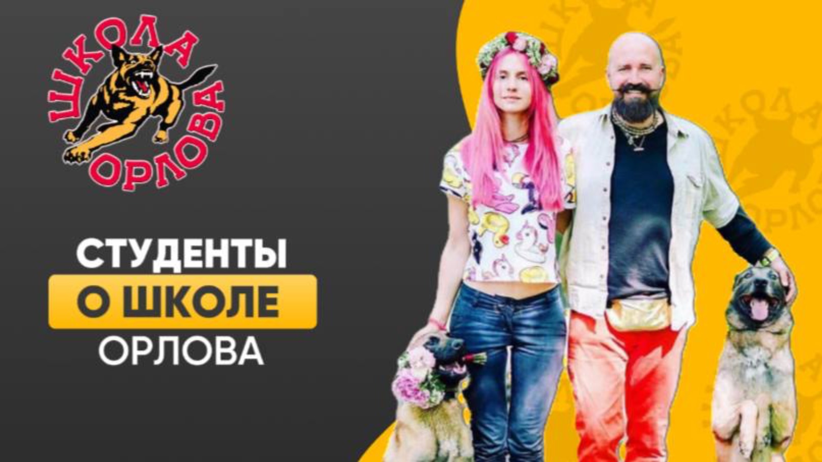 Студенты — о «Школе Орлова»