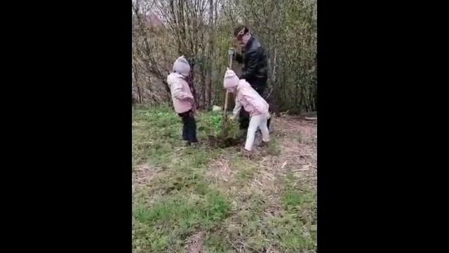 "Берегите лес", Козлов Ярослав