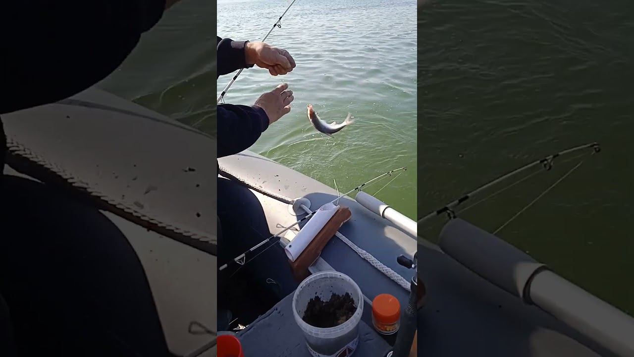 Первая осенняя рыбалка.2023.Сентябрь.