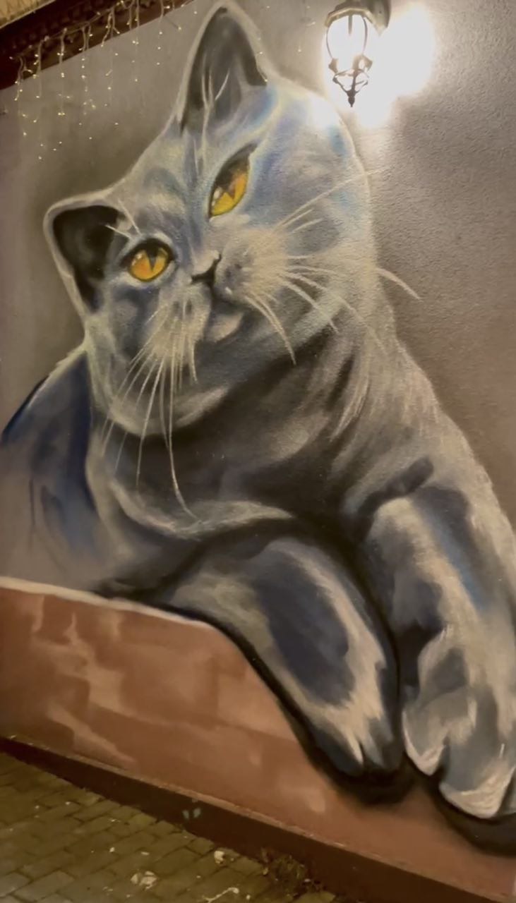 Nirvana. Отель для домашних животных