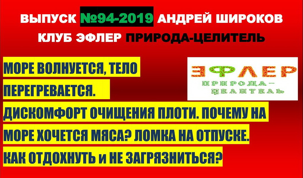 АППЕТИТ ВО ВРЕМЯ ЧУМЫ. МОРСКАЯ ПИЩЕВАЯ КАЧКА. ТОКСИЧЕСКИЙ ОТПУСК. О ЧЁМ КРИЧИТ ТЕЛО НА МОРЕ?