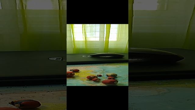 Фильм про страны. 3 часть. Российская империя