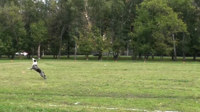 Russian USDDN WF Qualifier Ольга и Манго.mp4