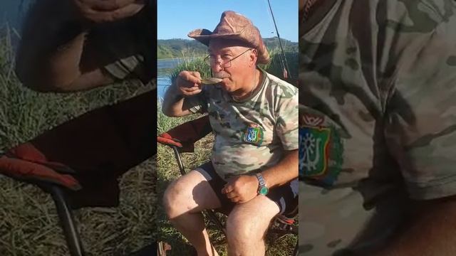 Морской гребешок. Всем деликатесам, деликатес! #shorts