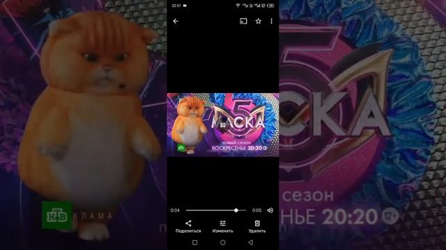 промо ролики кота и щенка