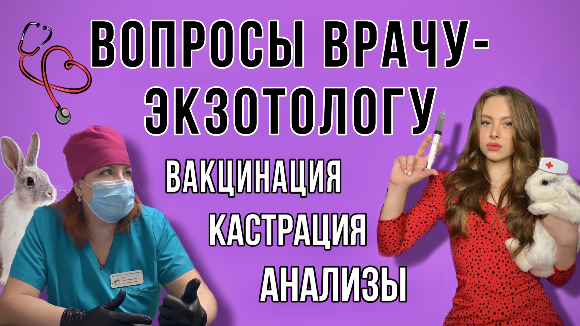 Вакцинация. Кастрация. Анализы кроликов. Беседа с ветеринарным врачом-экзотологом.
