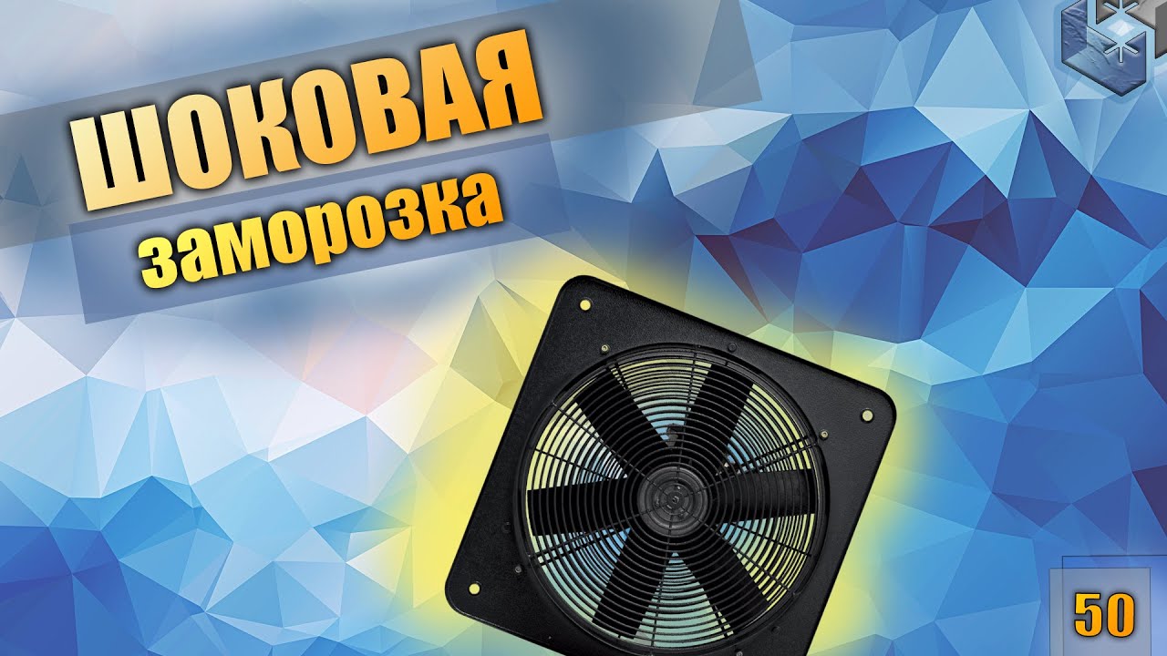 Тоннельная камера. Шоковой заморозка. Заморозка фруктов 2250 кг / час