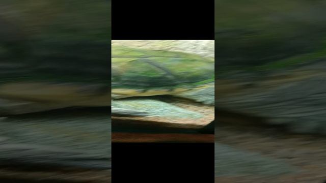 океанариум СПБ Питер