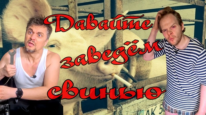 Давайте заведём свинью!