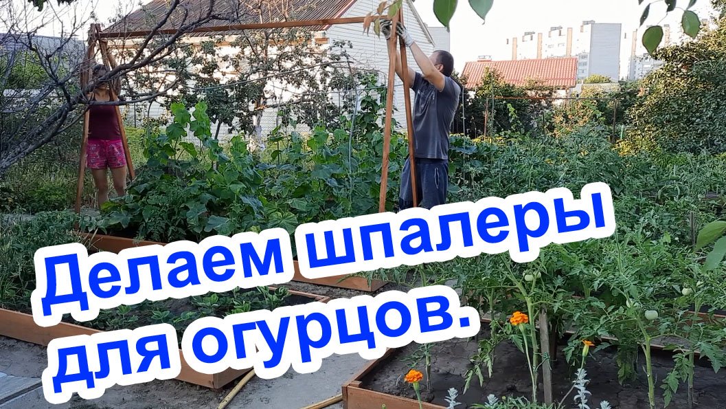 Как сделать красивые шпалеры для огурцов.