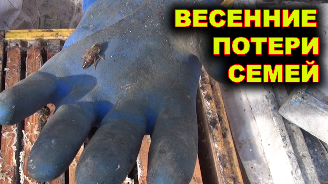 Весенние потери семей.