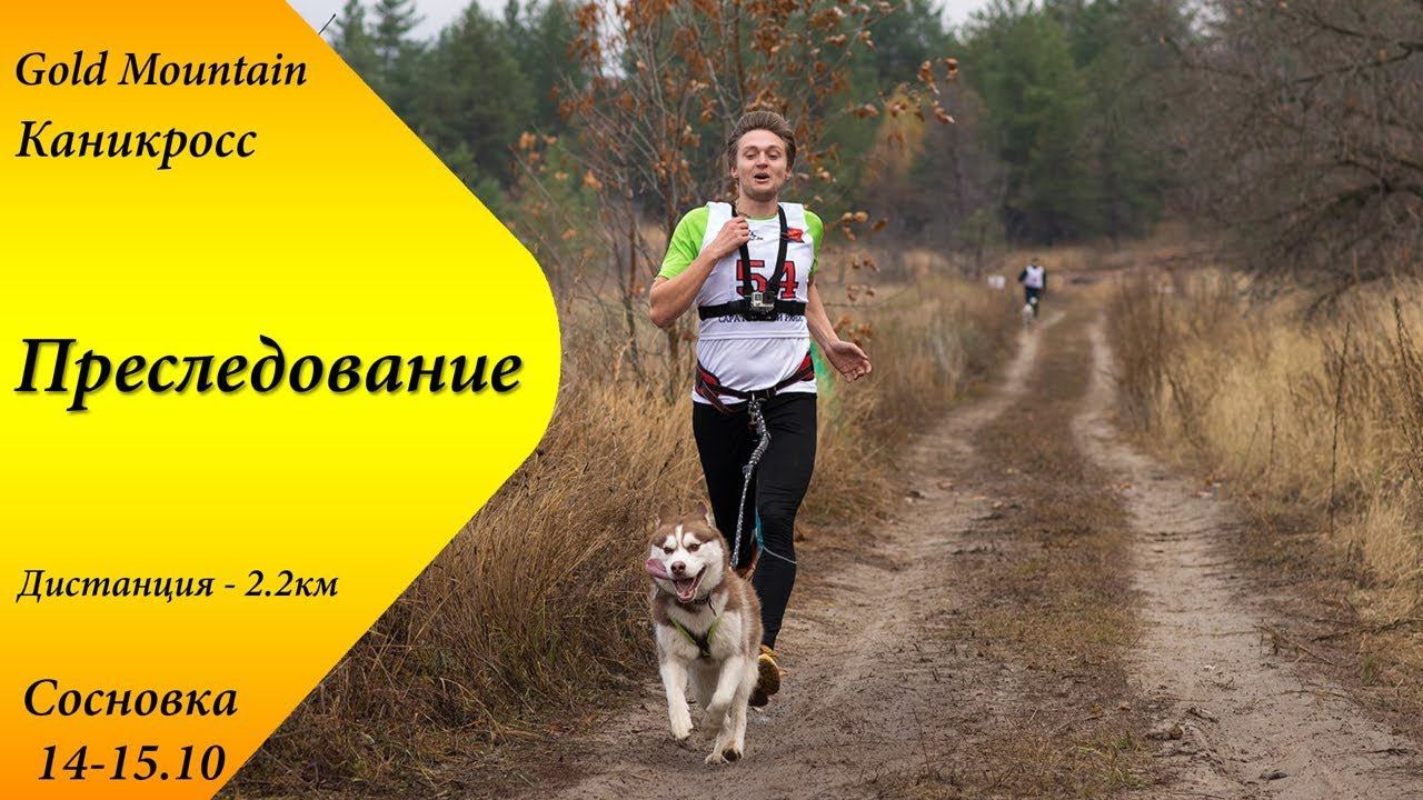 Драйленд Gold Mountain каникросс день 2 Инфинити