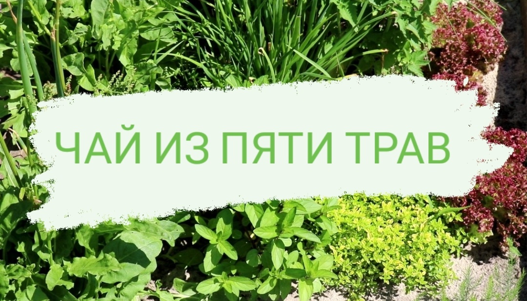 ЧАЙ ИЗ ПЯТИ ТРАВ ?
