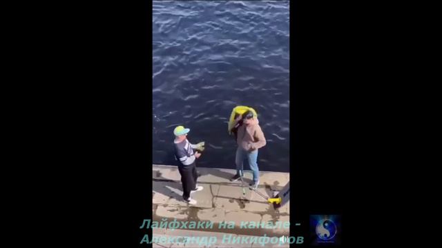 Юмор. Вот это сервис.